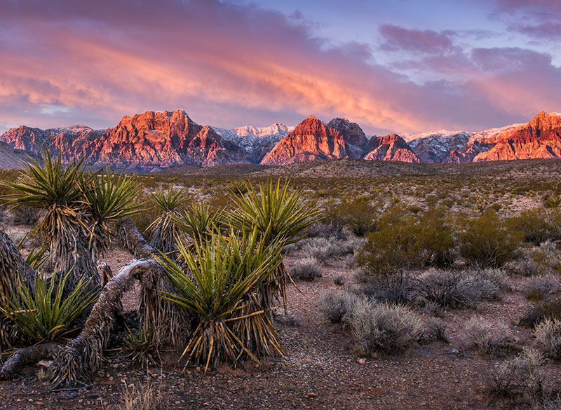 Title Services in Nevada | ROC Title